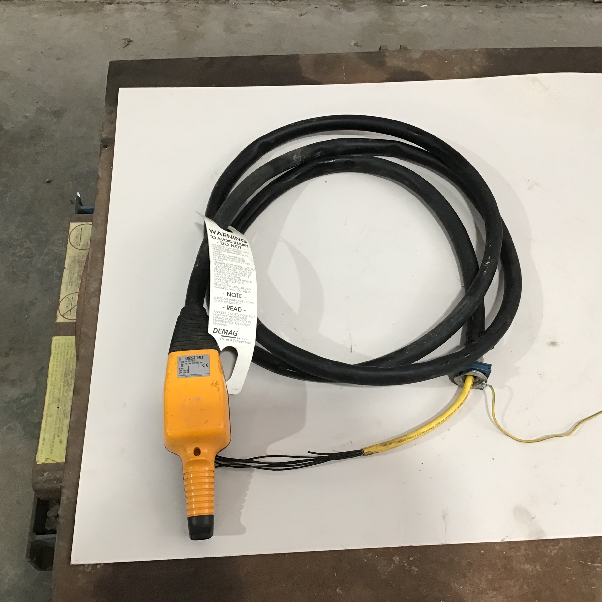 Demag DSK3 S01 Chain Hoist Control Switch 9Ft Lead IP55 A300 CSA ENC4 ...