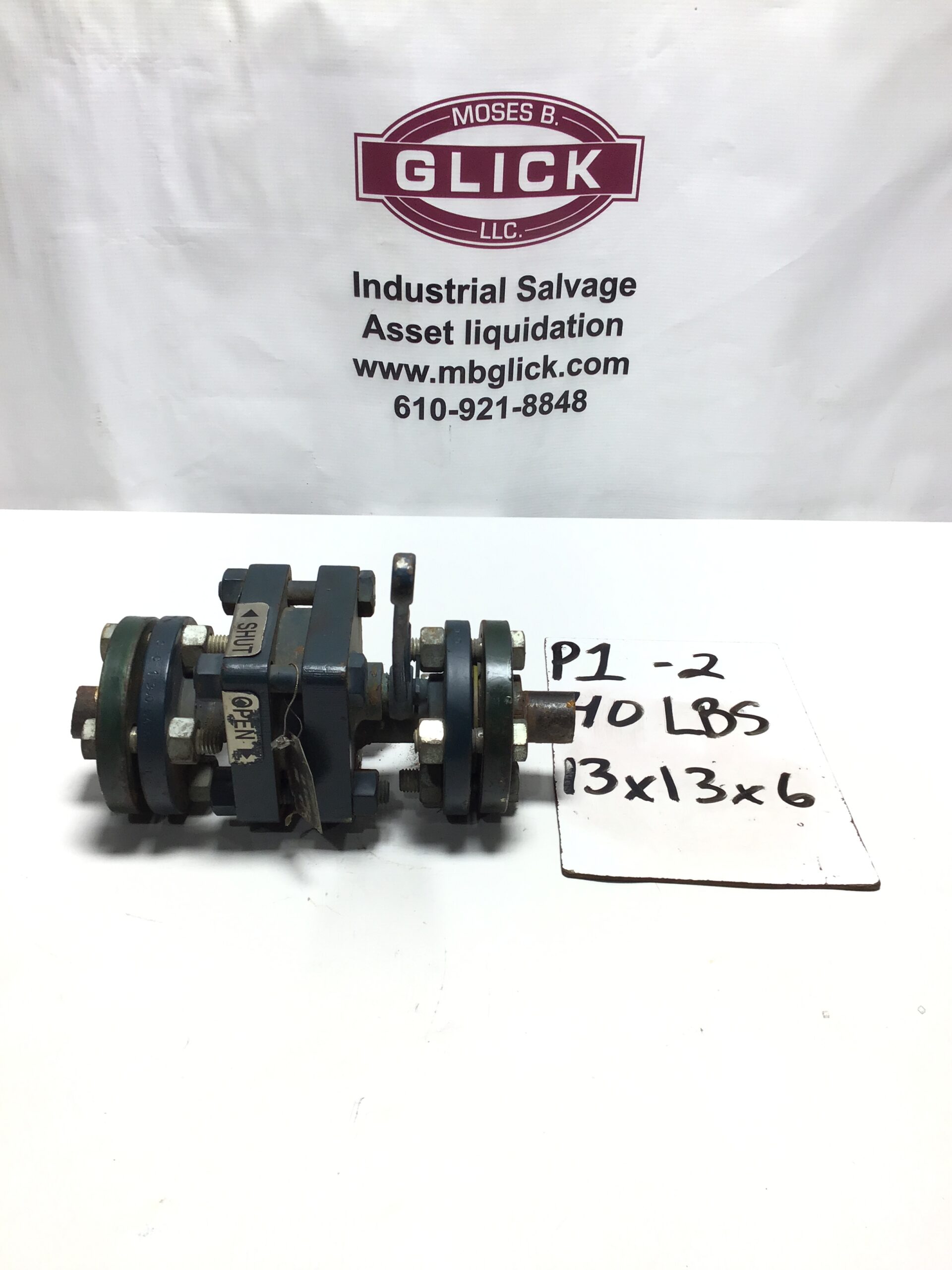 Everlasting Valve Co Lever-Operated Quick-Opening Blowdown Valve ...